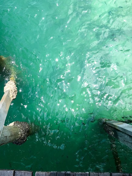 A Day of Island Hopping, Snorkeling and Adventure in Sabah, Malaysia