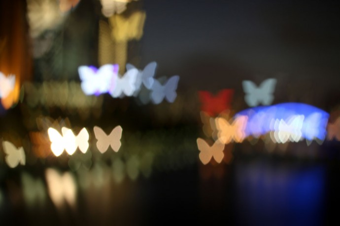 Out of Focus - Experimenting with Bokeh Photography in Melbourne | My ...