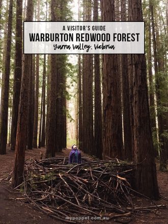 There's a Magical Redwood Forest in Warburton | My Poppet Living