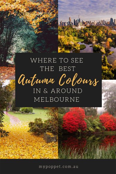 Where to see the best Autumn Colours in Melbourne | My Poppet Living