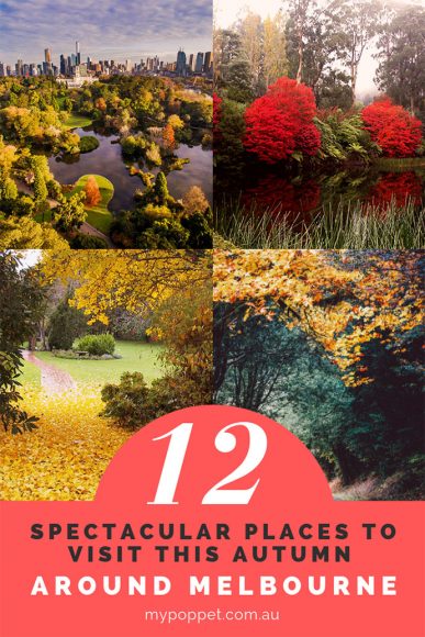 Where to see the best Autumn Colours in Melbourne | My Poppet Living