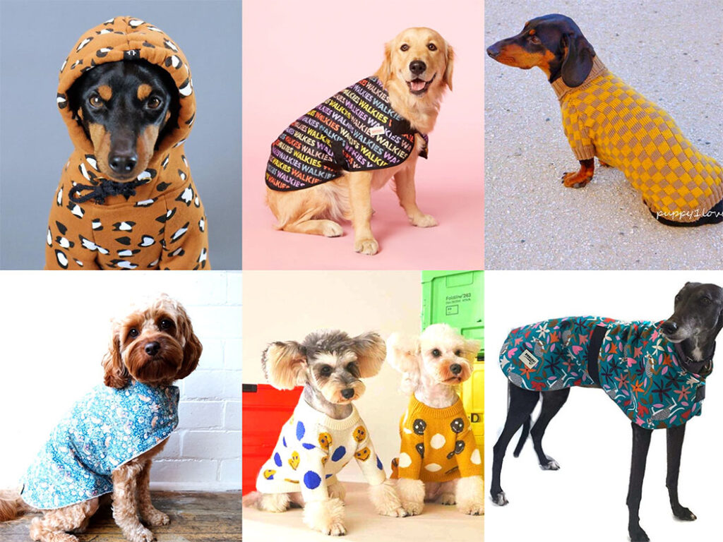 Stylish Dog Coats for your Pampered Pooch | My Poppet Living