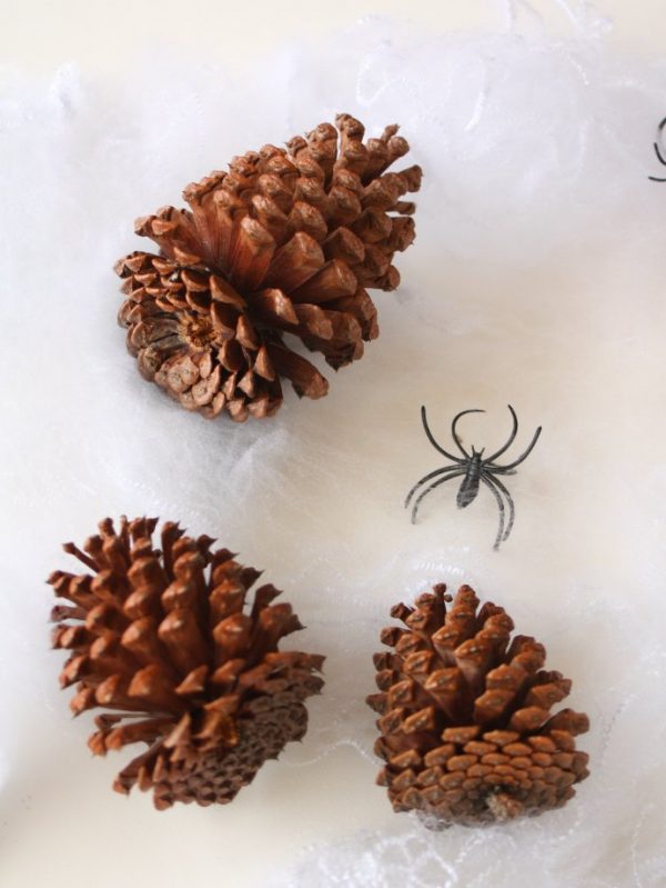 Kids Craft: Spooky Halloween Spiders | My Poppet Makes