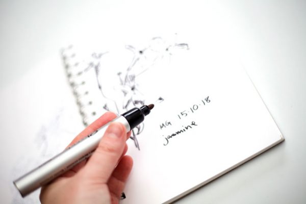 The Daily Drawing Project - Learn to Draw in Just 10 Minutes a Day | My ...