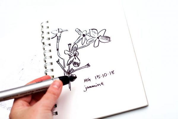The Daily Drawing Project - Learn to Draw in Just 10 Minutes a Day | My ...